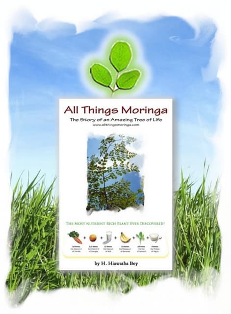 MORINGA OLEIFERA PRESENTATION.pptx