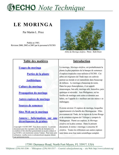 Moringa business-plan | PDF