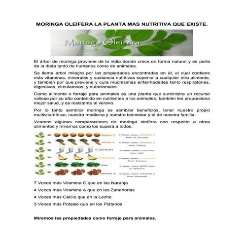 beneficios de la moringa oleifera | DOCX
