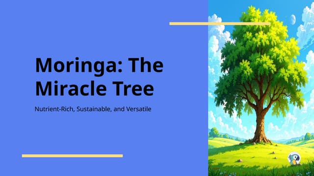 MORINGA OLEIFERA PRESENTATION.pptx