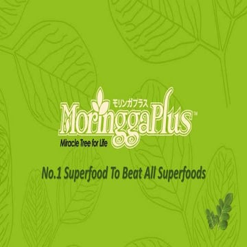 Power Point MoringgaPlus | PPT
