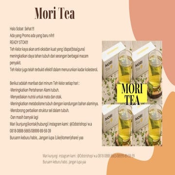Mori tea | PDF