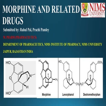 Morphine and Related Drugs including their Derivatives.pdf