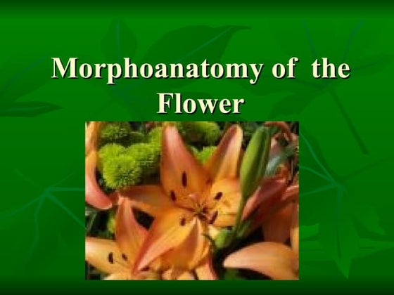 Inflorescence Types,cymose and racemose types,examples with Diagrams ...