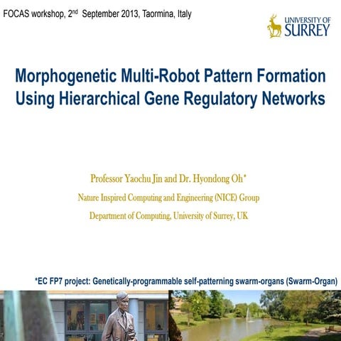 Morphogenetic Multi-Robot Pattern Formation Using Hierarchical Gene Regulatory Networks | PDF