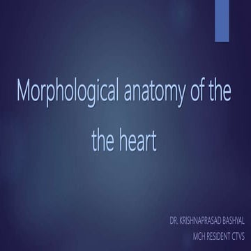 Morphological anatomy of heart | PPTX