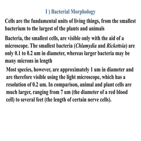 morphological characteristics ppt.pptx importance | PPT