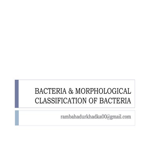 Morphological classification of bacteria | PPTX