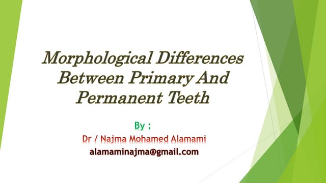 Morphological Differences Between Primary And Permanent Teeth 2016.pptx Morphological Differences Between Primary And Permanent Teeth 2016.pptx