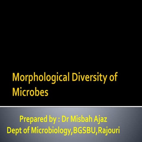 Morphological diversity of microbes | PPTX