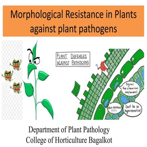 Morphological Resistance of Plants against plant pathogens.pptx