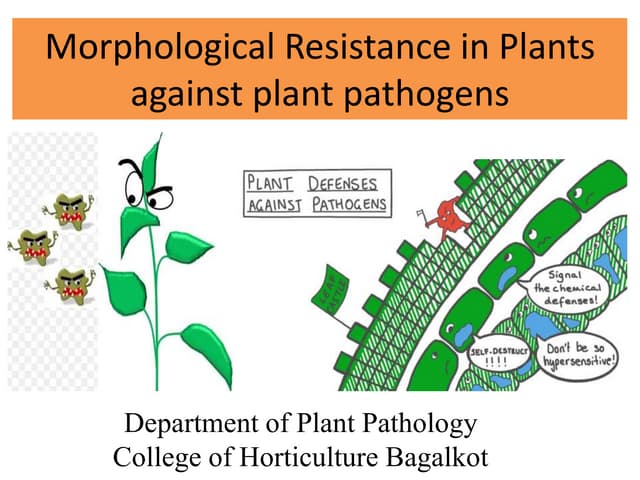 Plant resistance mechanism | PPTX