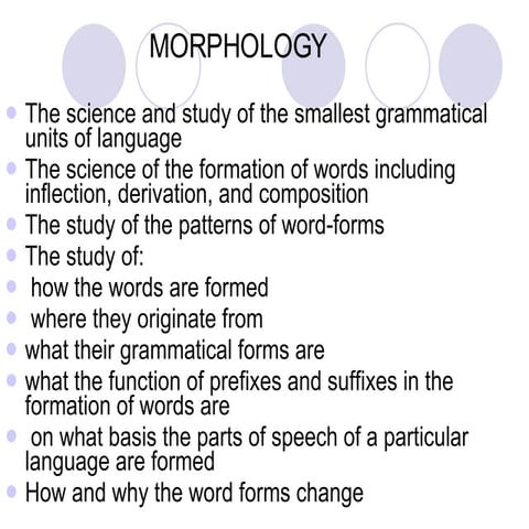 Morphology Definition SOLUTION: Chapter 4 Productivity In Word