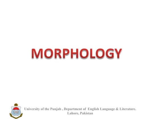 Morphology presentation | PPT