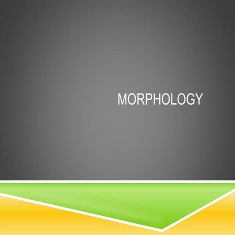 Morphology | PPTX