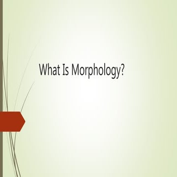 Morphology | PPTX