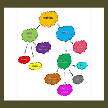 morphology and syntax