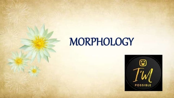Morphophonemic: Morphemes & allomorphs, morphological processes.pptx.pptx