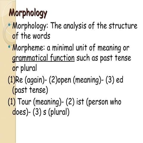 MORPHOLOGY-2024.ppt................................... | PPT