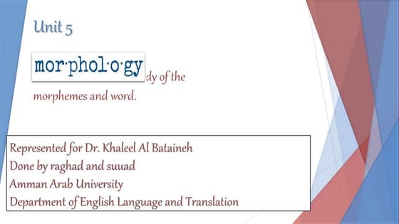 4 morphology terms | PPT