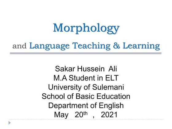 4 morphology terms | PPT