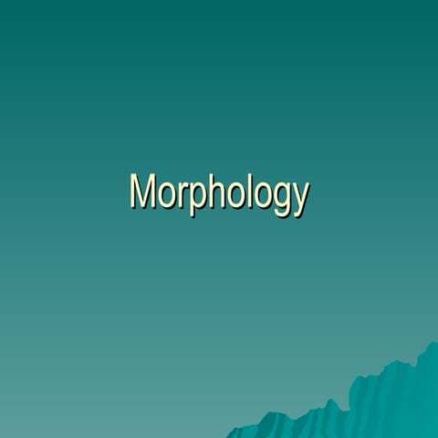 Introduction to Morphology and the Classification of Morphemes | PPT