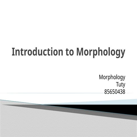 Morphology Syntax English Education Pptx