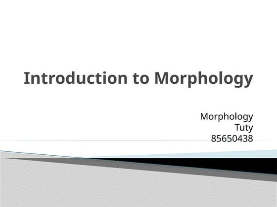 Basics of Morphology.pptx