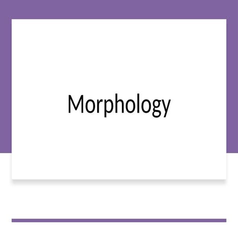 MORPHOLOGY.pptxgffsagdgdgdgdgdgdgdgdgddgdgdgdg | PPTX