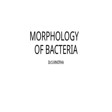Morphology of bacteria | PPTX
