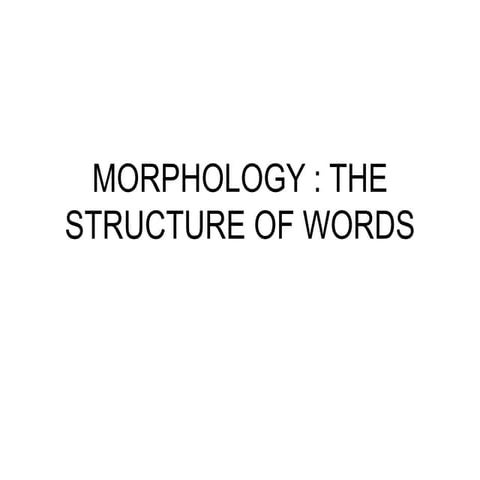 MORPHOLOGY (1).ppt