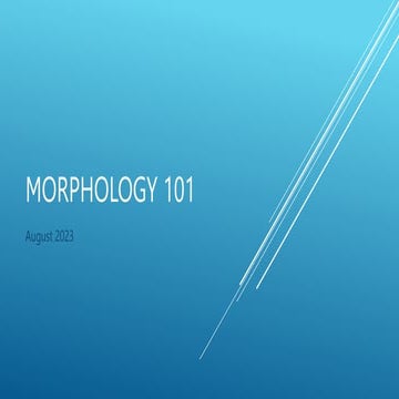 Morphology 101.pptx