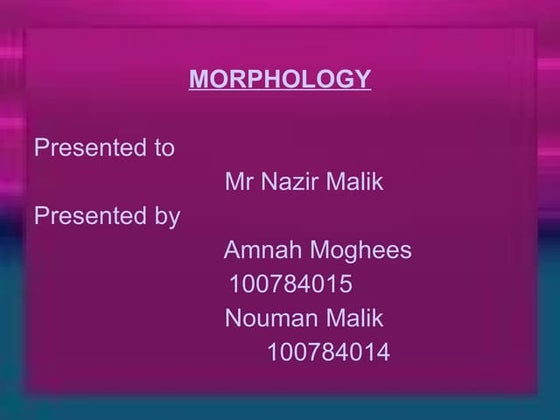 Morphemes chapter 4 | PDF