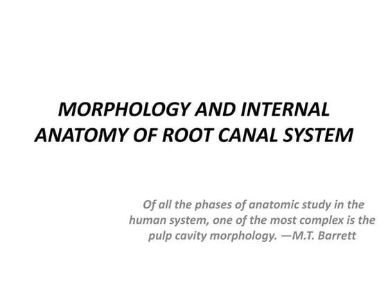 Root Canal Morphology | PDF