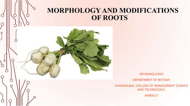 Specialized Structure in Plants and Adaptation | PPTX