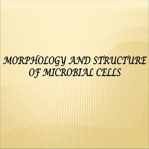 Comprehensive Overview of Microbial Cell Morphology and Microscopy ...