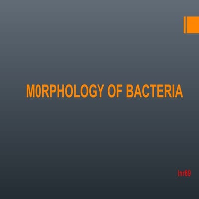 Morphology of bacteria | PPT