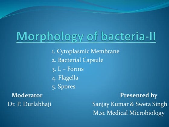 Bacteria structure and function | PPTX | Biological Sciences | Science
