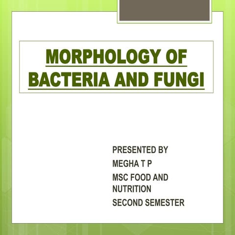 MORPHOLOGY OF BACTERIA AND FUNGI.pptx