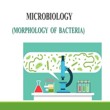 MORPHOLOGY OF BACTERIA pptx.pptx