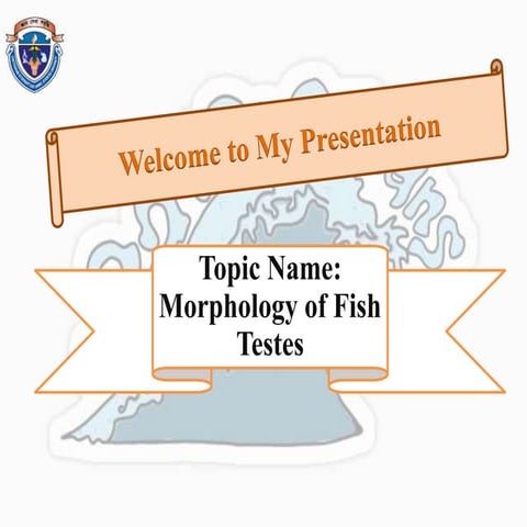 Morphology of Fish Testes | PPTX