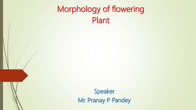 Modifications of roots | PPTX