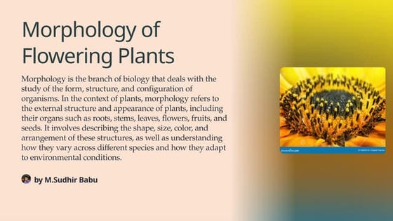 Parts of the plant and their functions | PPT | Gardening | Home & Garden
