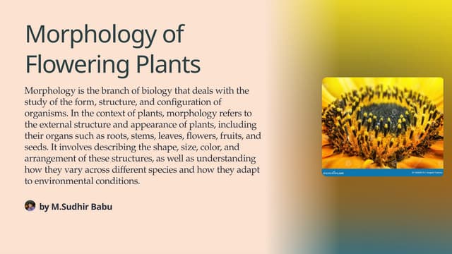 Parts of the plant and their functions | PPT | Gardening | Home & Garden