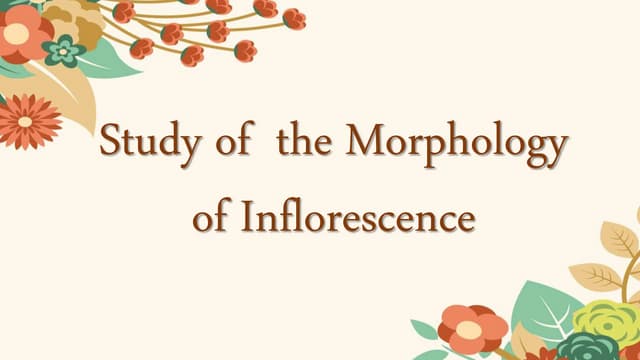 Inflorescence Types,cymose and racemose types,examples with Diagrams | PPTX