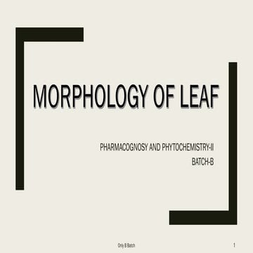 Leaf apex type | PDF
