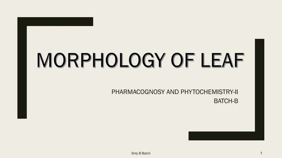 Different Shapes of leaf | PDF