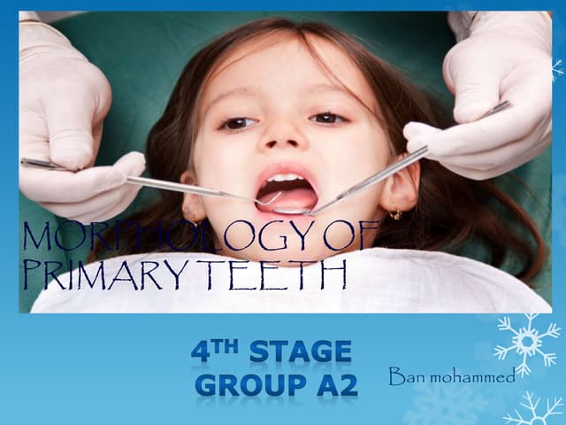 07. The Deciduous Teeth - Dentition | PPT