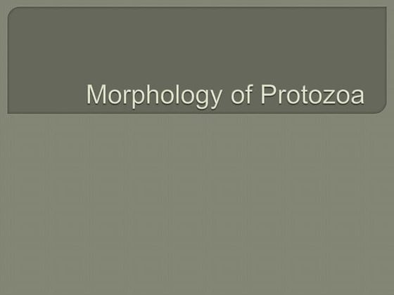 General characteristics of protozoa | PPTX