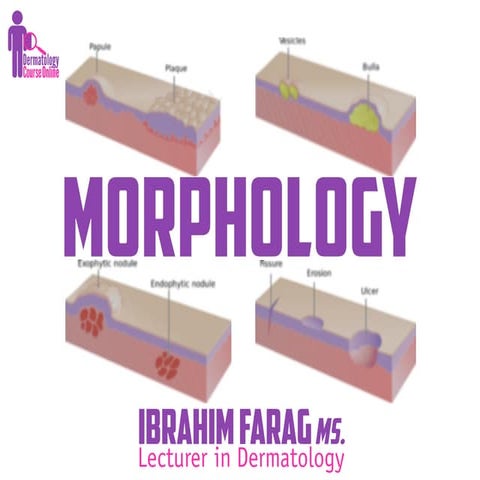 Morphology of Skin Lesions | PDF